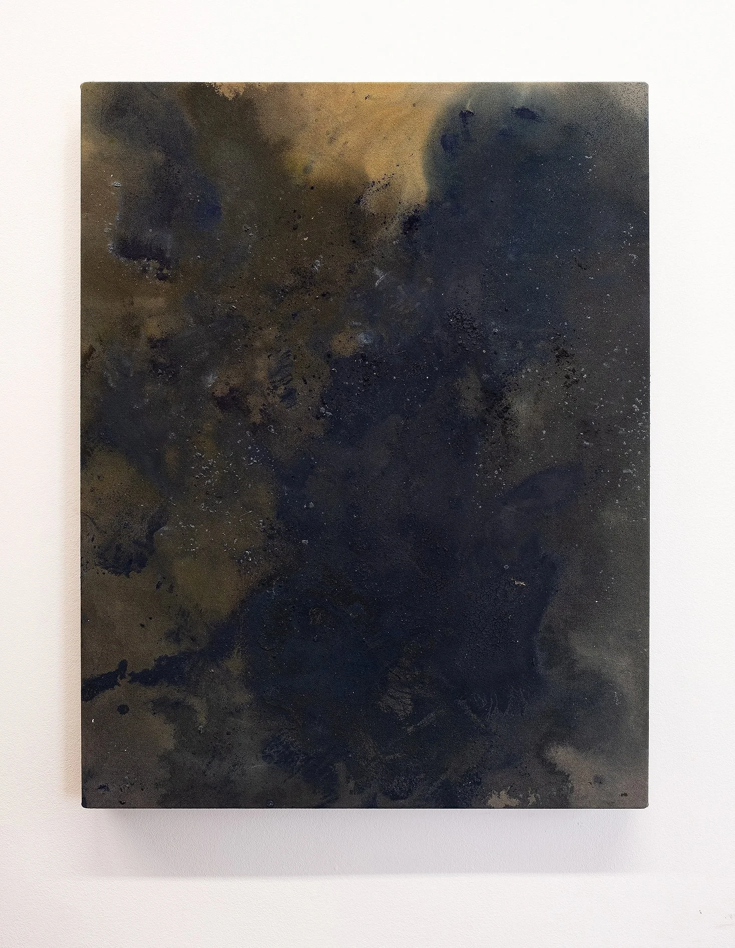 ANNA BLOM