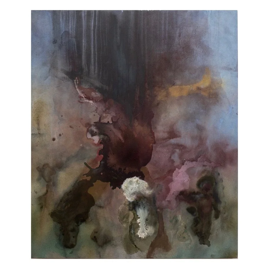 ANNA BLOM
