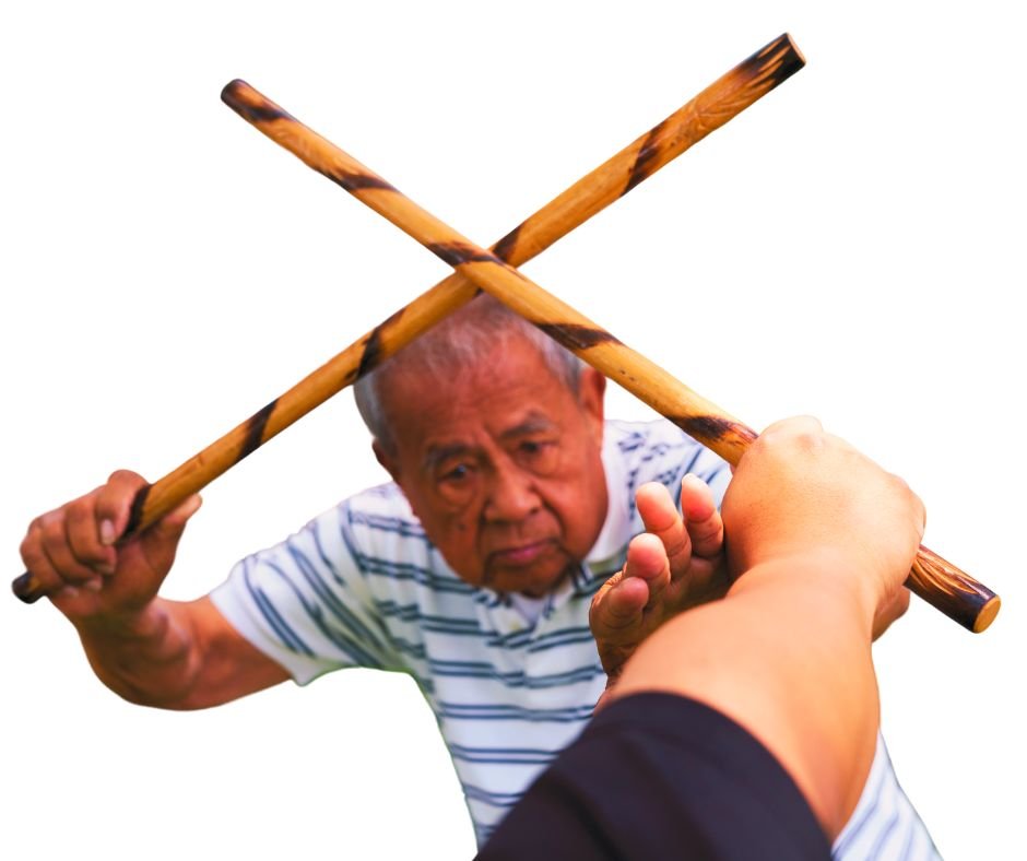 Filipino Martial Arts — Amalgam Martial Academy