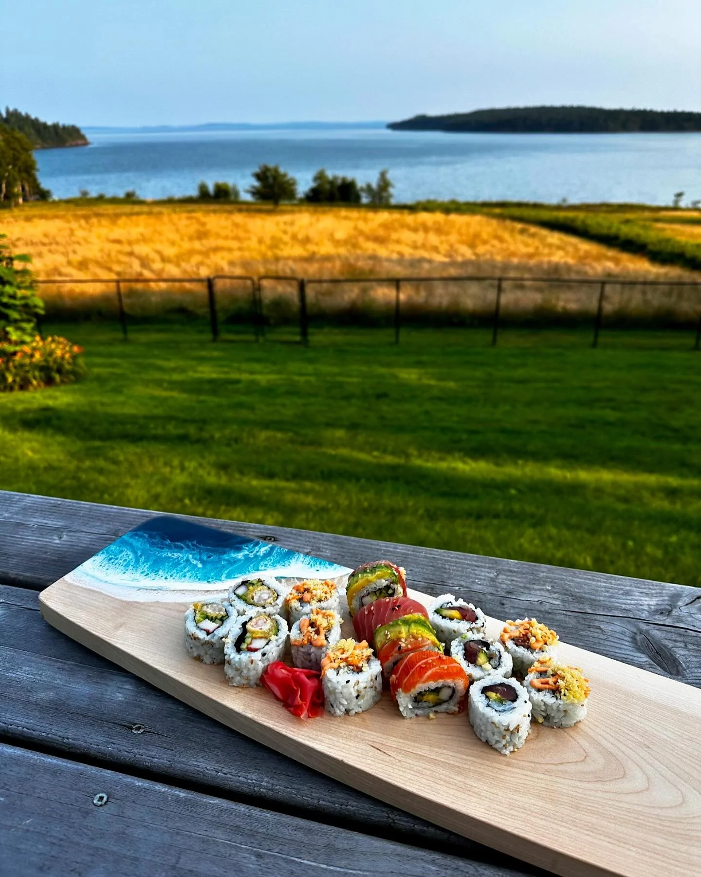 Bring the ocean to your home!