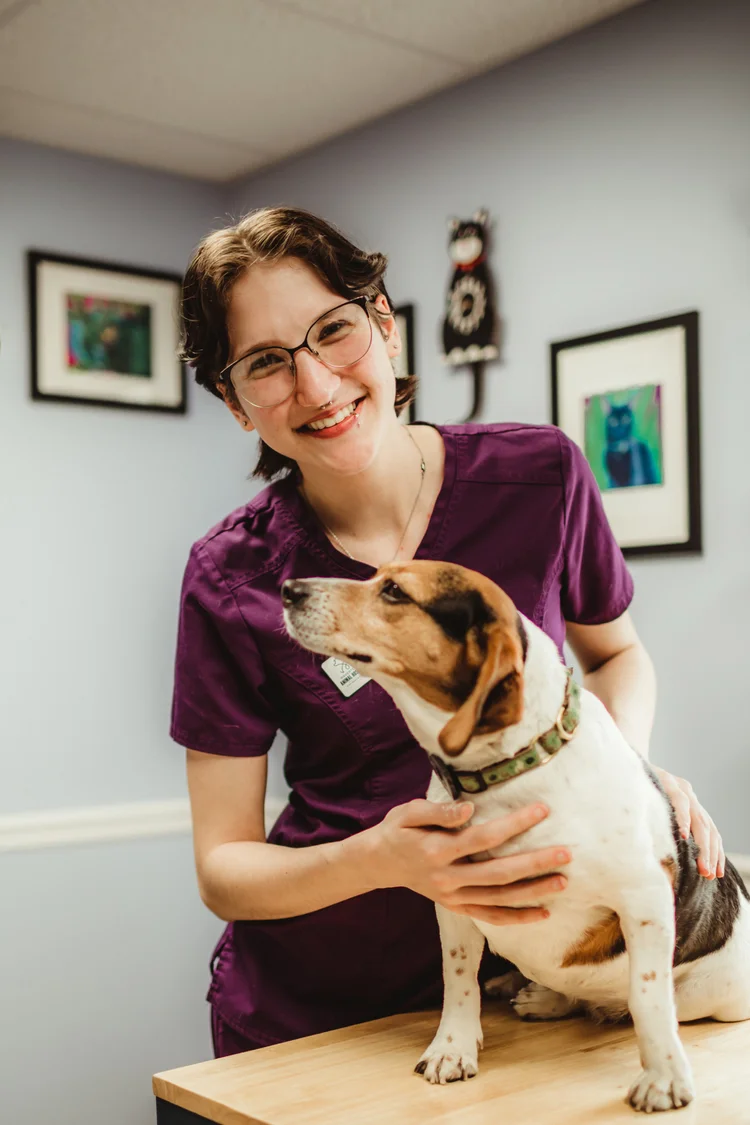 Our Team — Havertown Animal Hospital
