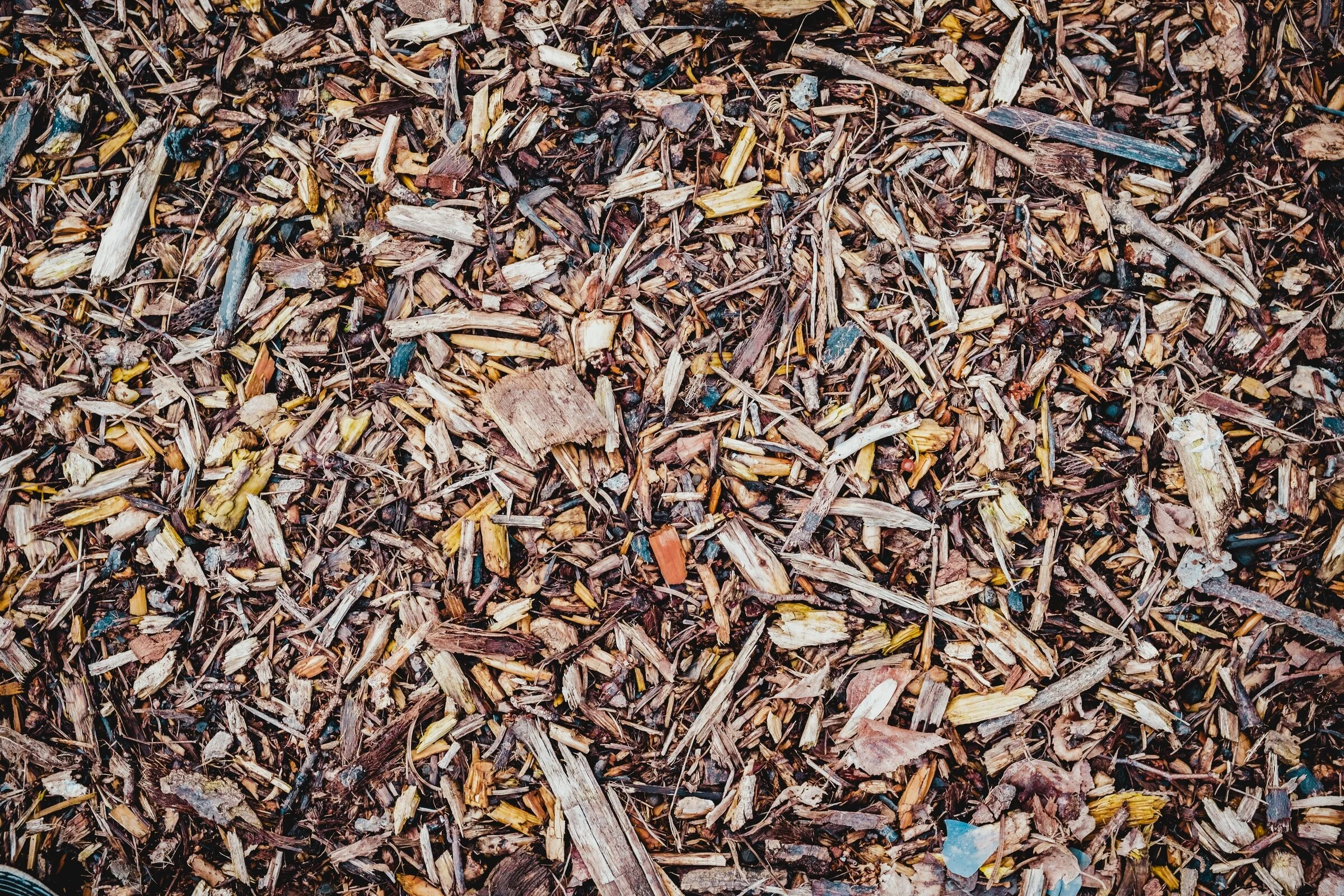 Wood Chipping — Woodland Tree Care Inc.