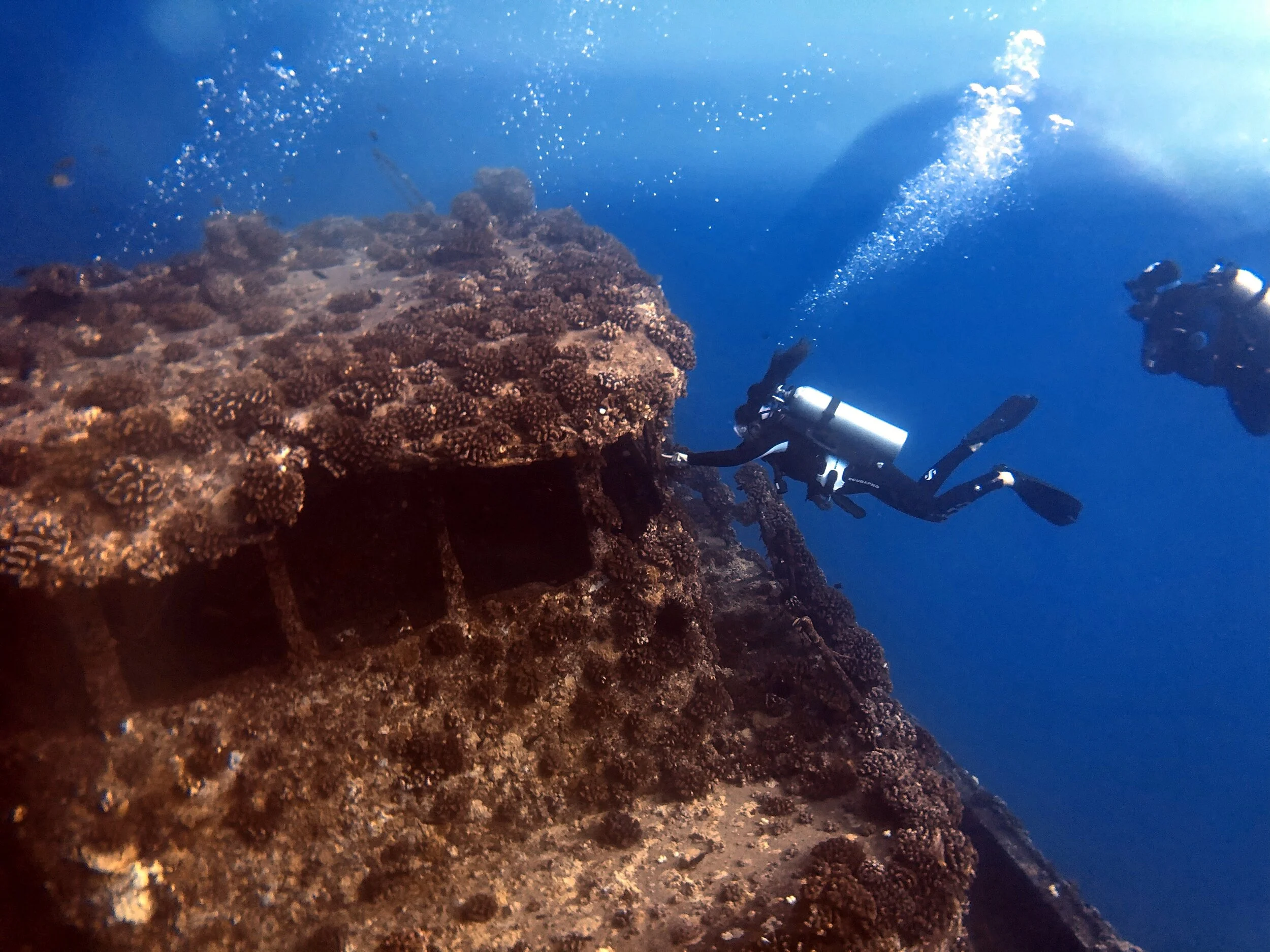 Navy Tug Wreck Dive – USS Nashua Reef Site | Oʻahu South Shore Scuba ...