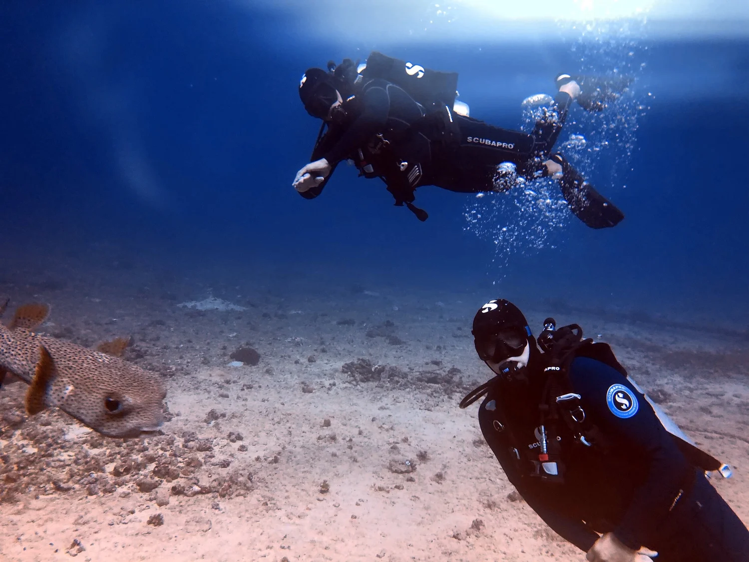 Dive the Corsair Wreck — Dive Oahu