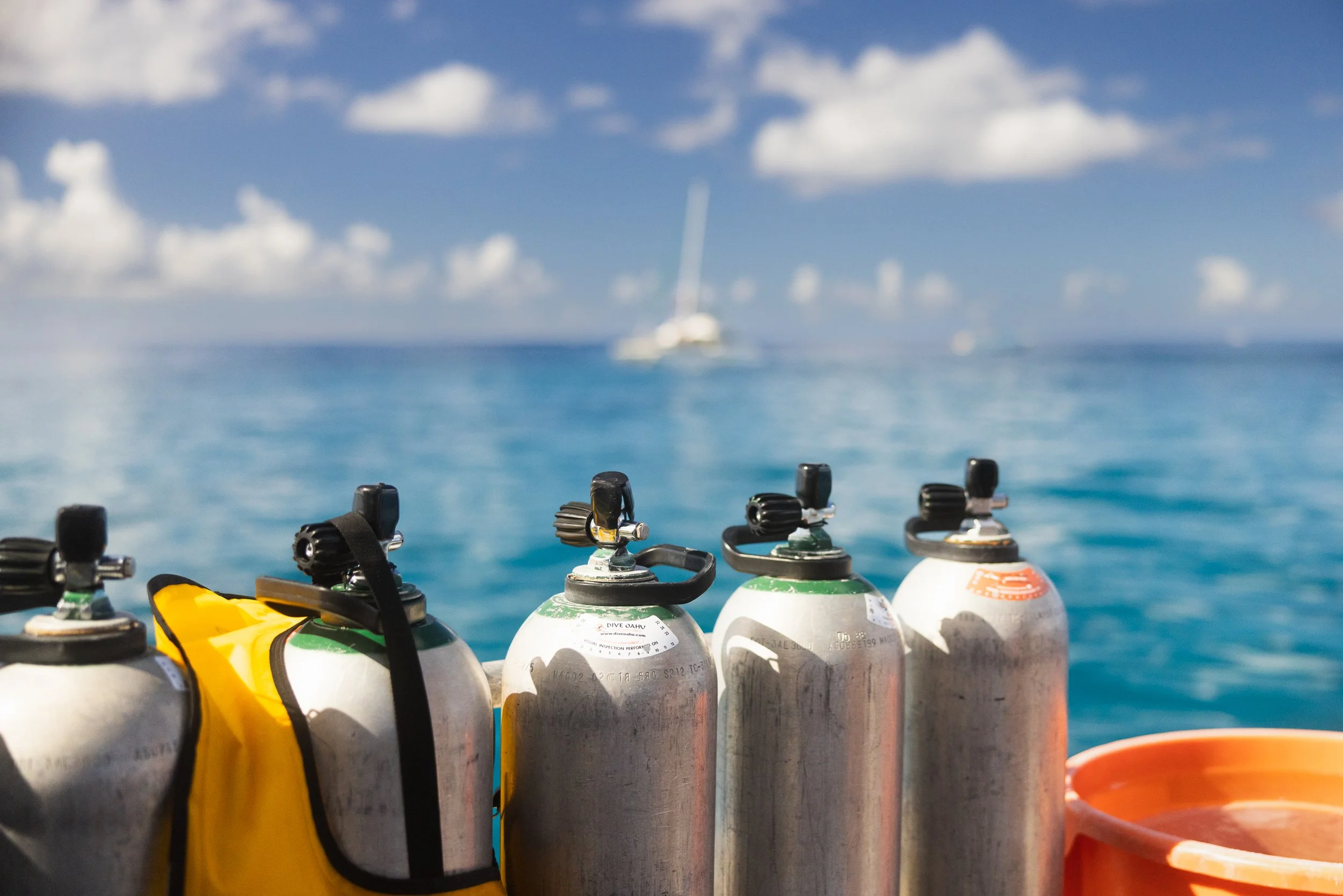 Dive Oahu — #1 Dive Shop on Oahu & Best Dive Boats in the Pacific