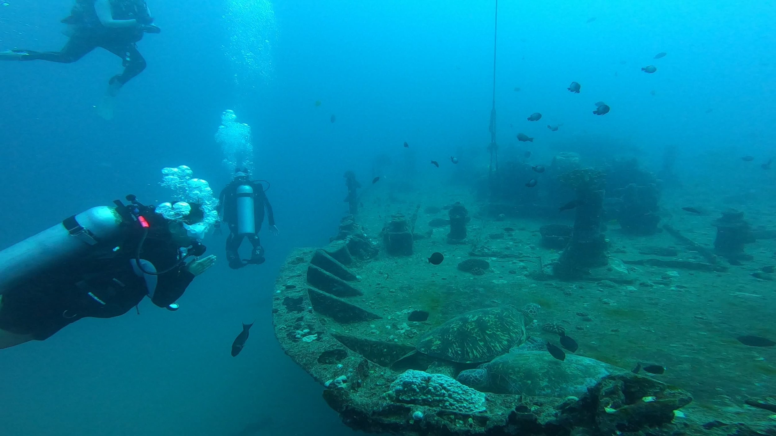 Sea Tiger Wreck Dive – Deep Wreck Near Waikiki — Dive Oahu