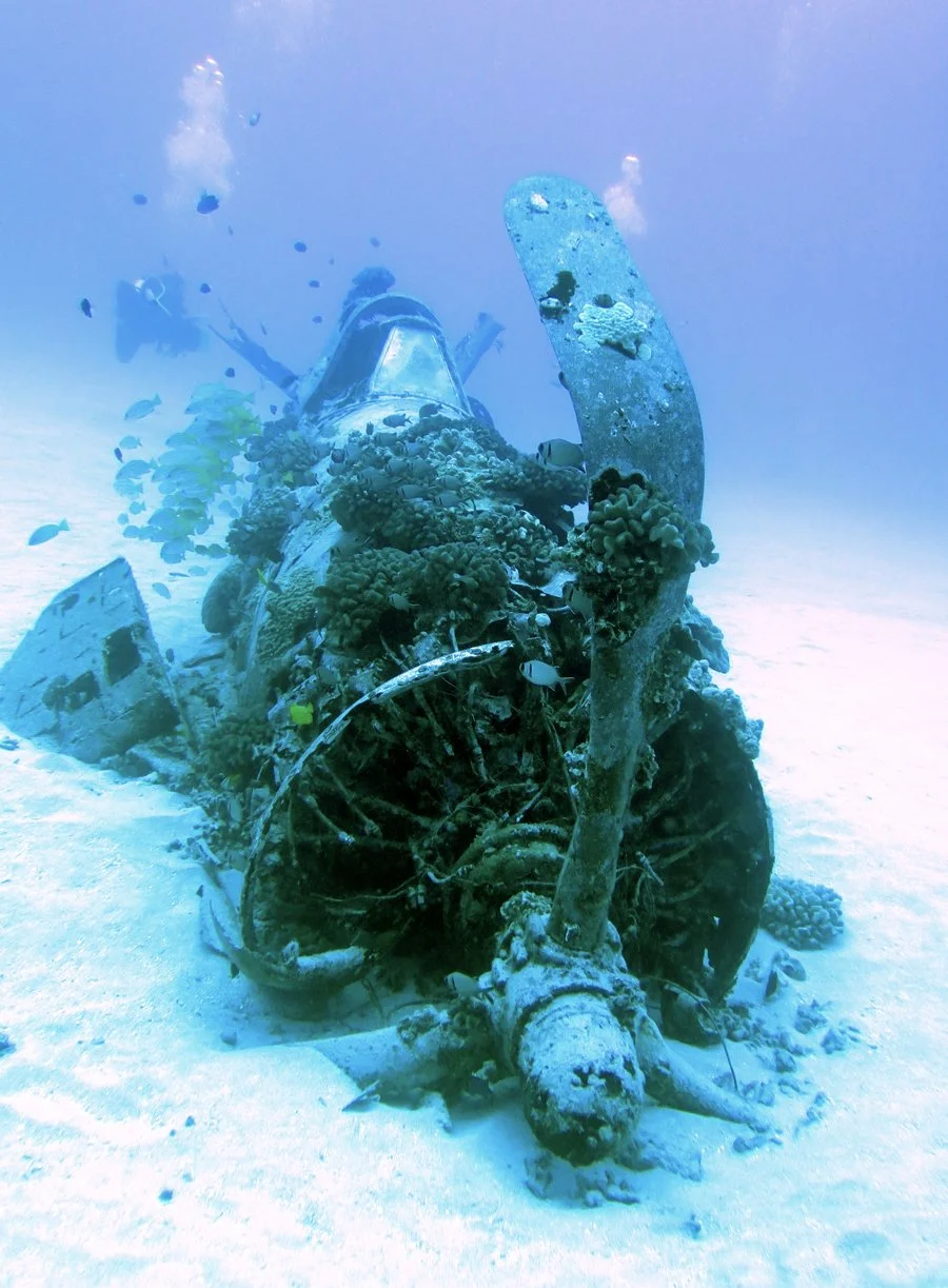 Dive the Corsair Wreck — Dive Oahu