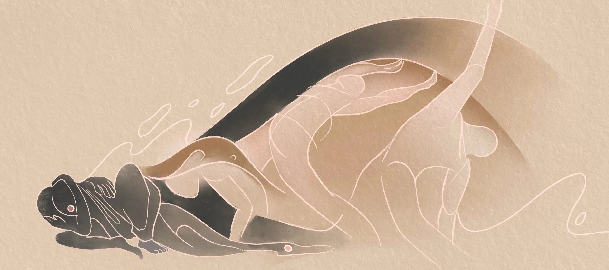 Explore — Shannon Lin