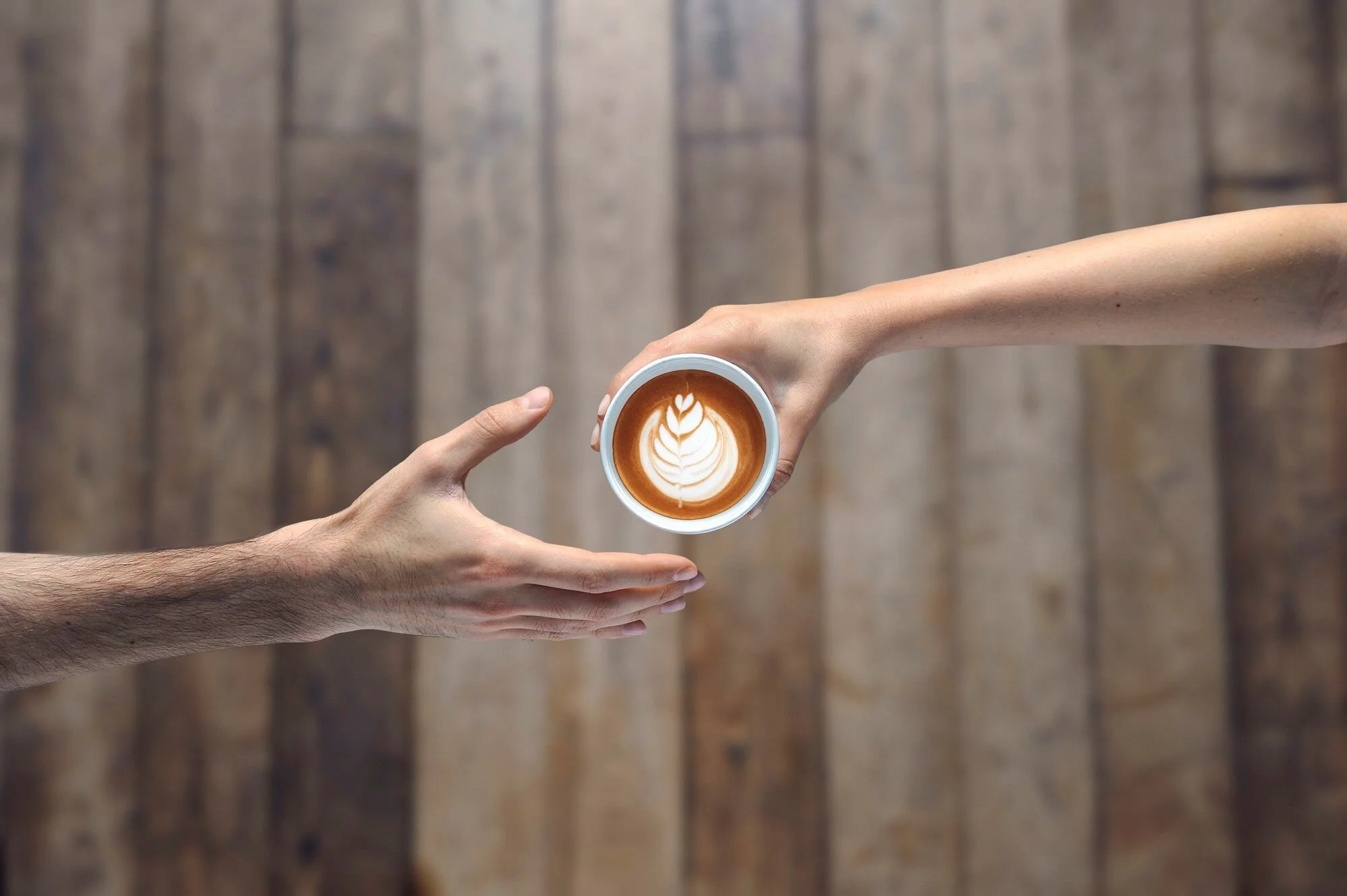 The science of single-use paper packaging — seda — international ...