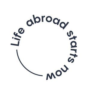 How to complete the German visa VIDEX form — Jetztpat