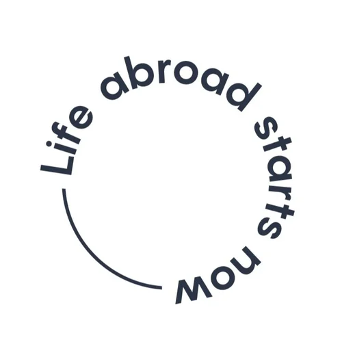 How to complete the German visa VIDEX form for your work visa — Jetztpat