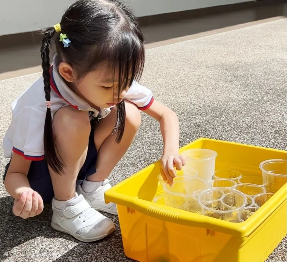 Methodist Preschool | Childcare | Kindergarten