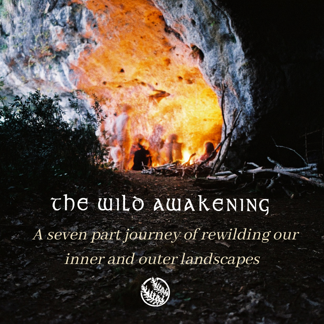 Courses - Ethnobotany — Wild Awake