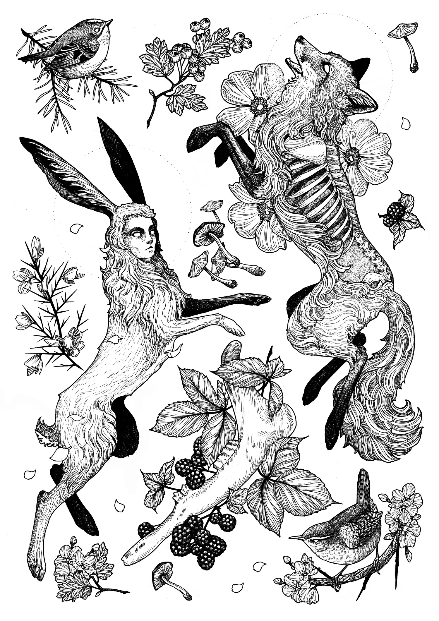 Airmid's Journal — Foraging, forest school, ancestral skills, bush ...