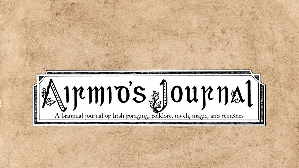 Airmid's Journal — Foraging, forest school, ancestral skills, bush ...