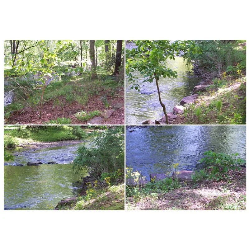 Landscape Design — Yellow Springs Farm