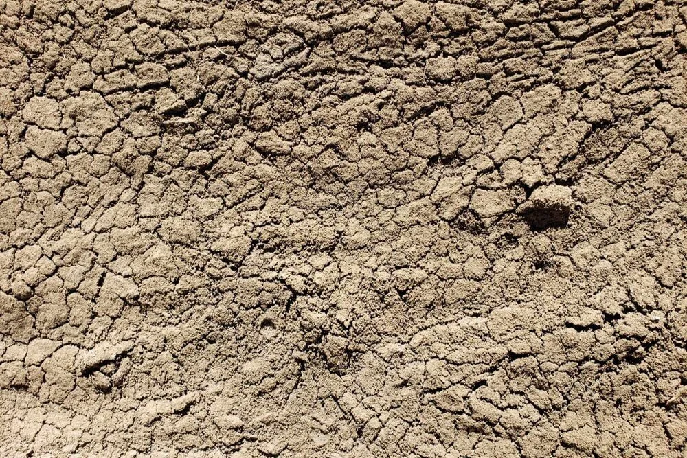 Classes & studio use — Green River Pottery