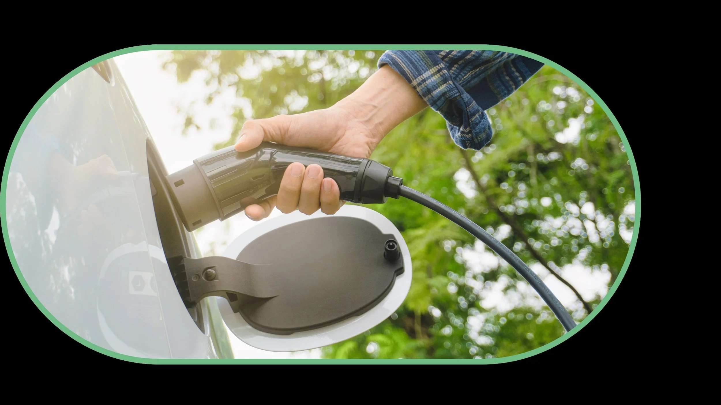 Contact — The ELCON Group & CCMS Lighting