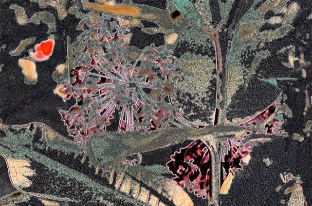 Robin Carlson — Marquette-Atwood Neighborhood Art Walk