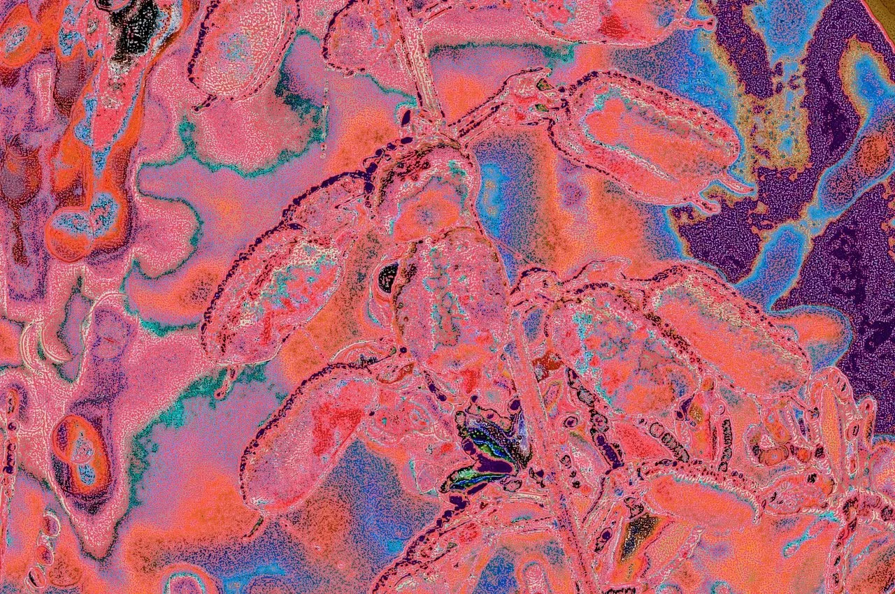 Robin Carlson — Marquette-Atwood Neighborhood Art Walk