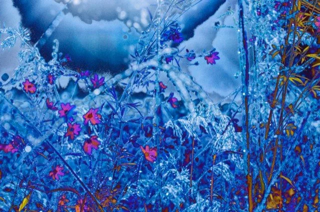 Robin Carlson — Marquette-Atwood Neighborhood Art Walk