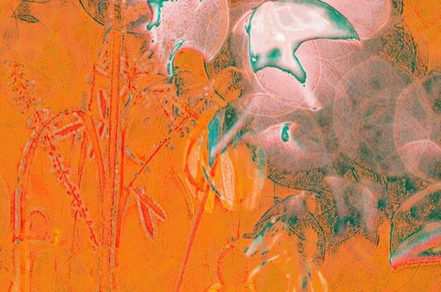 Robin Carlson — Marquette-Atwood Neighborhood Art Walk