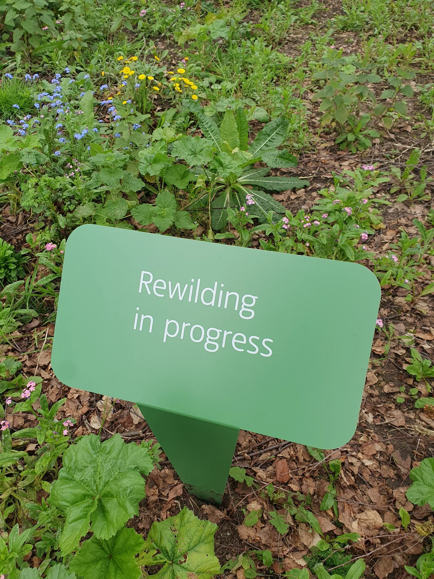 General 1 — Wilder