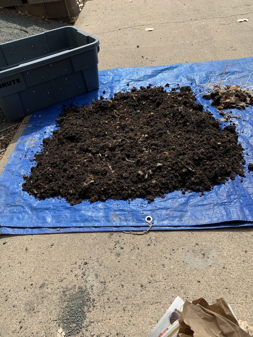 Vermicomposting — Auntie M's Garden