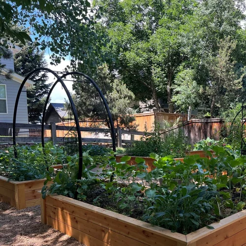 Types of Trellises and Vertical Supports for Denver Gardens — Auntie M ...