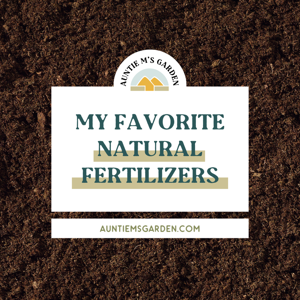 Compost — Auntie M’s Garden | Blog — Auntie M's Garden