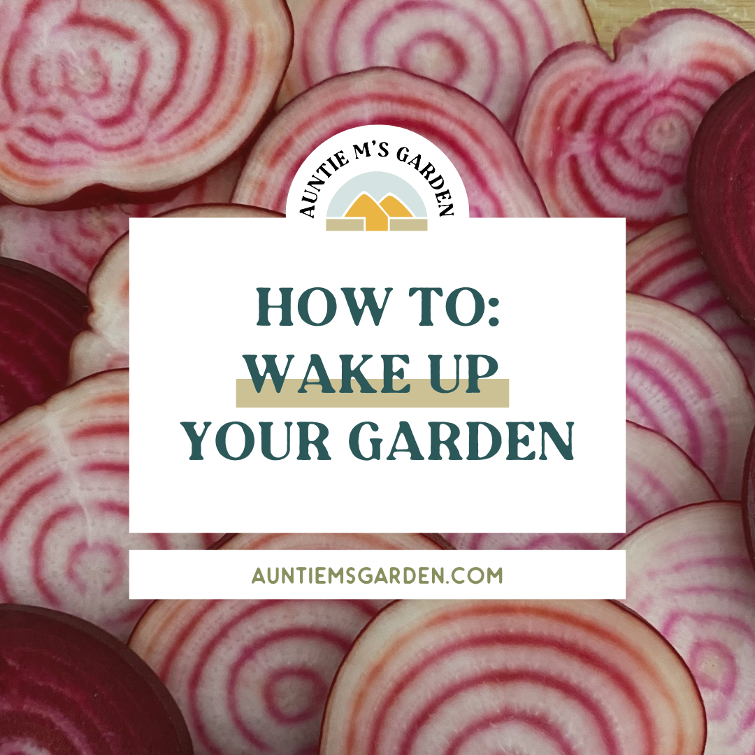Auntie M’s Garden | Blog — Auntie M's Garden