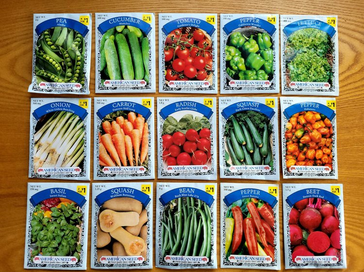 Kickstart Your Denver Kitchen Garden: 4 Early Spring Planting Tips ...