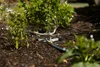 Save Colorado Water in 2025: Practical Tips for Backyard Denver ...