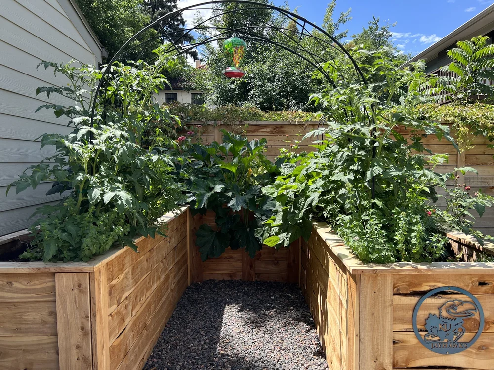 Why Vertical Supports and Trellises Are a Must-Have for Denver Backyard ...