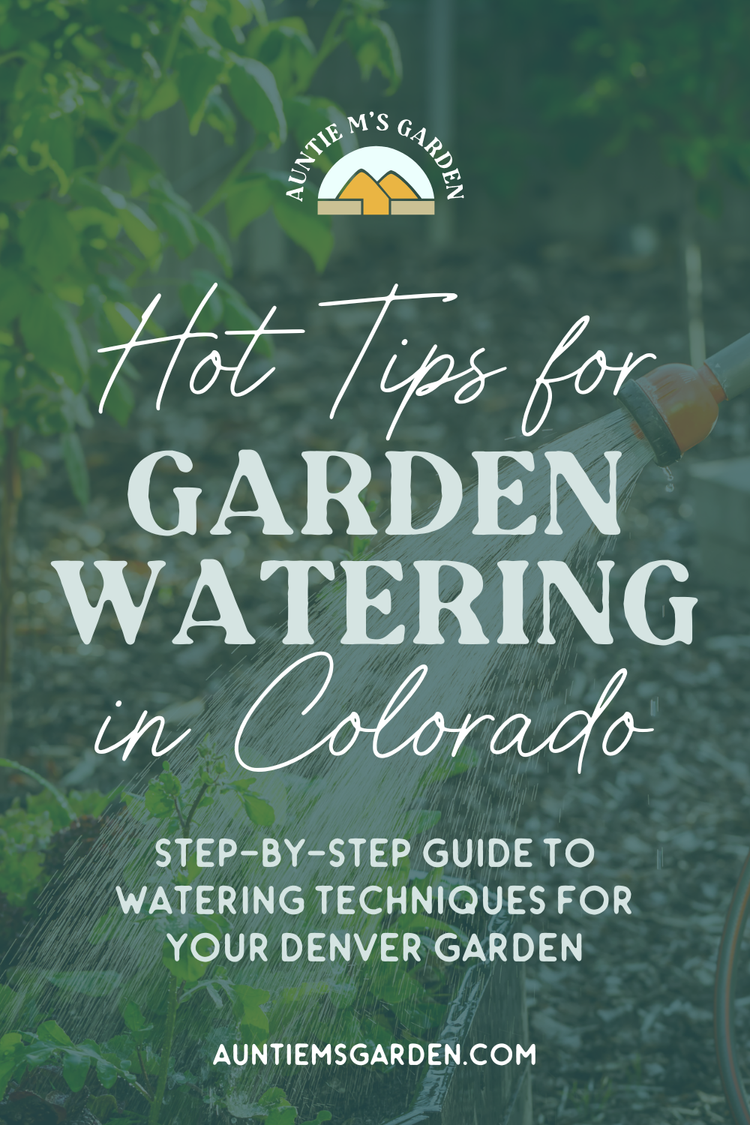 Garden Watering in Denver: A Guide to Perfect Plant Hydration — Auntie ...