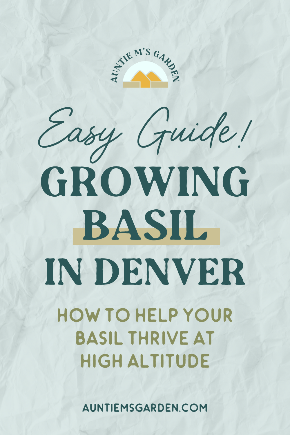 Growing Basil in Your Denver Backyard Garden — Auntie M's Garden