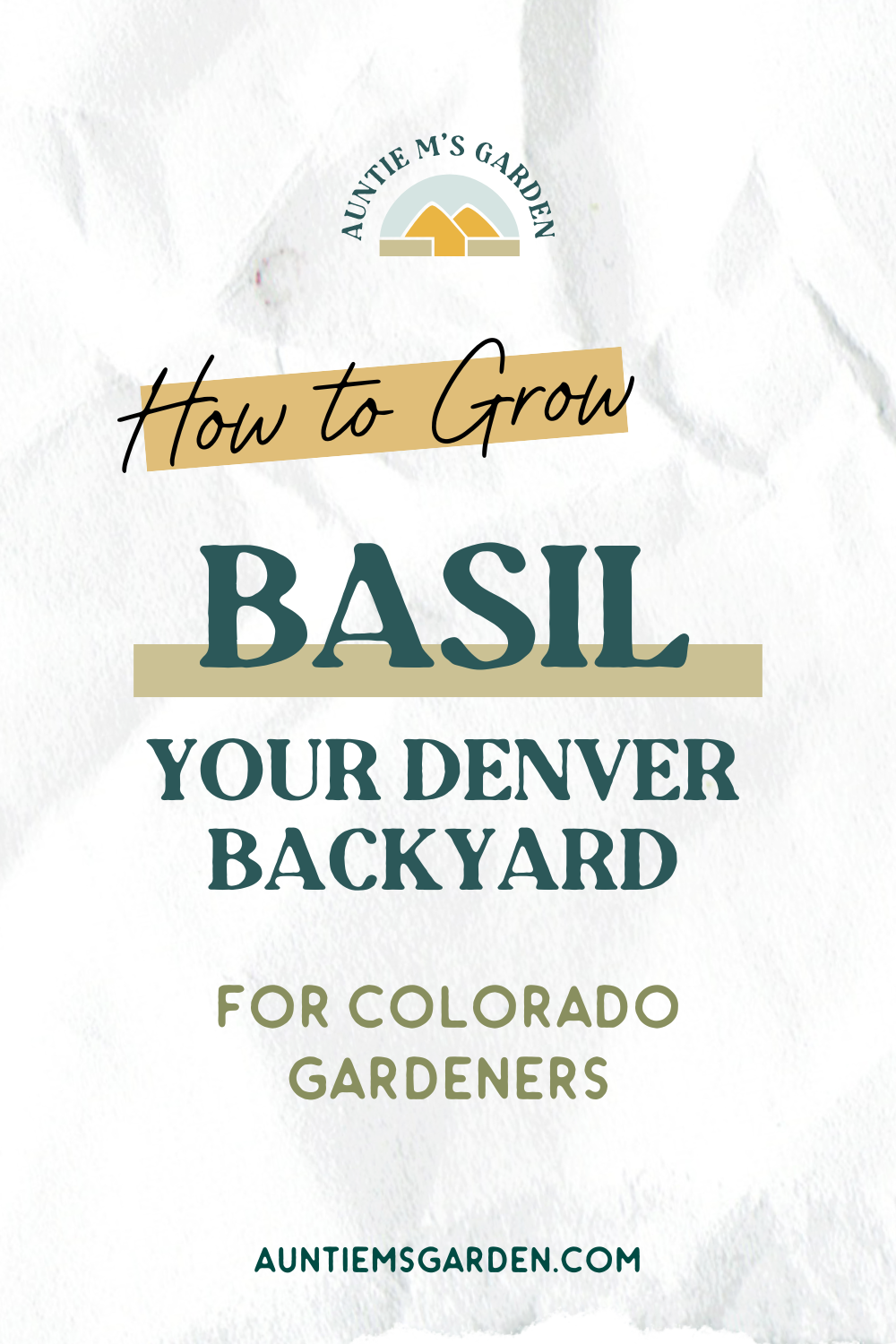 Growing Basil in Your Denver Backyard Garden — Auntie M's Garden