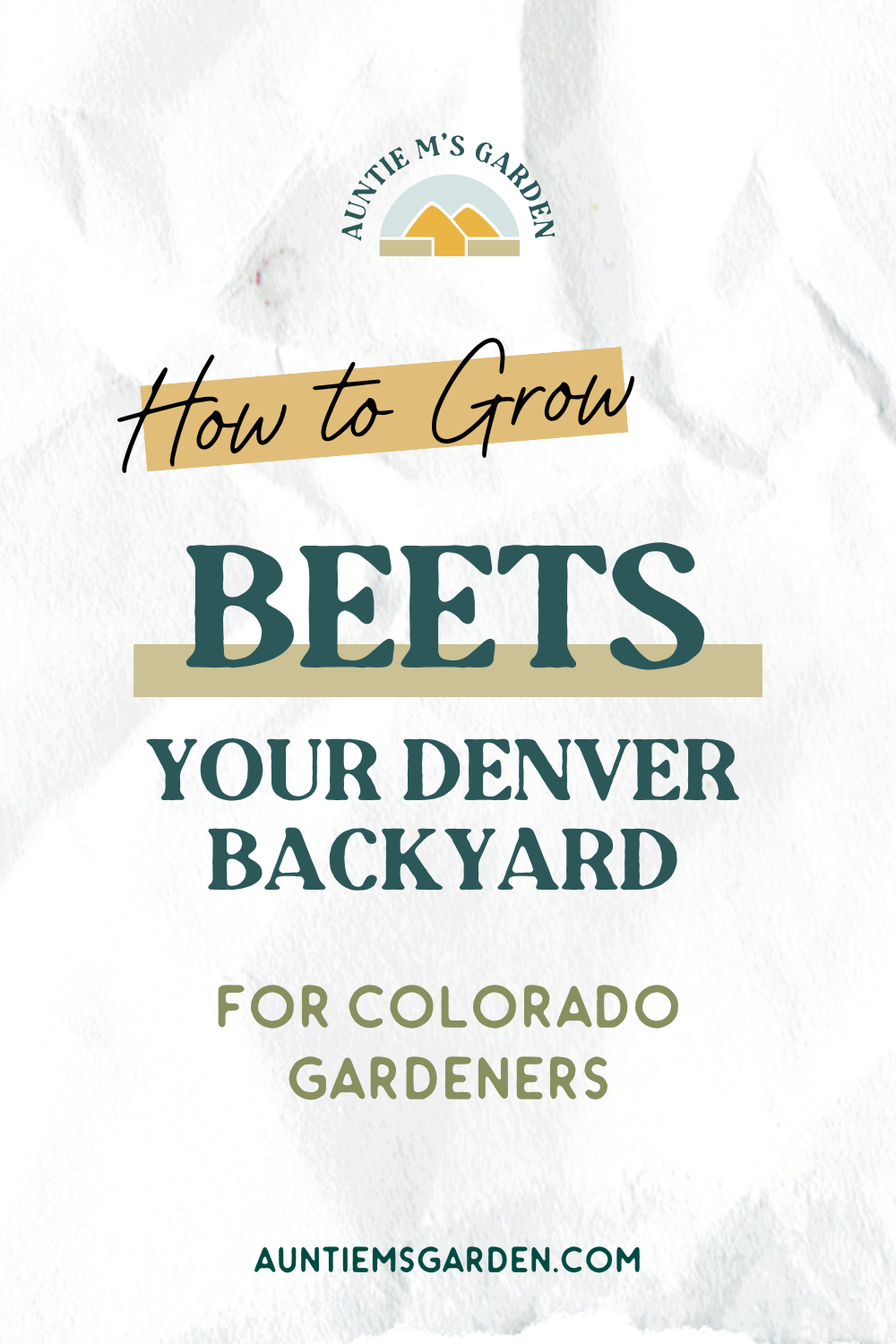 Growing Beets in Your Denver Backyard Garden — Auntie M's Garden