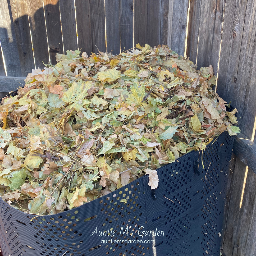 Compost Materials — Auntie M's Garden