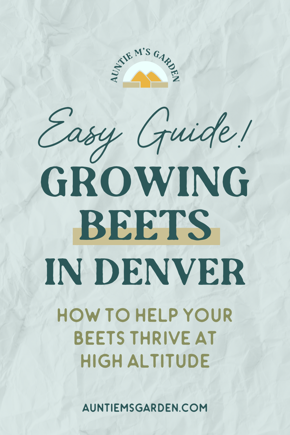 Growing Beets in Your Denver Backyard Garden — Auntie M's Garden