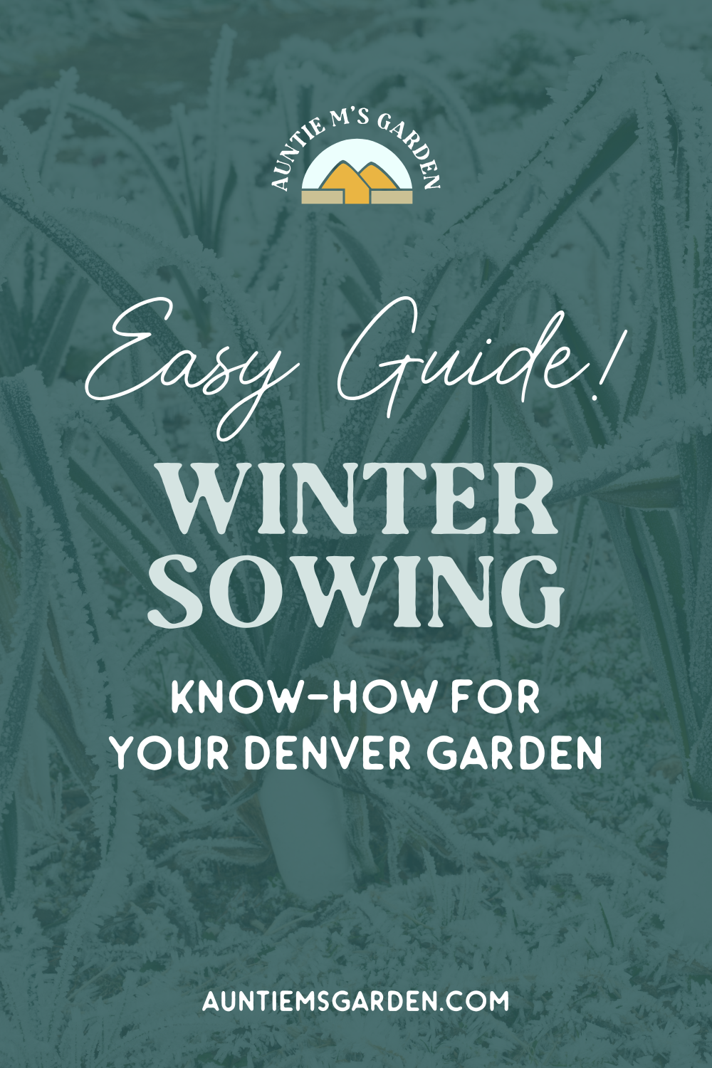 Common Winter Sowing Mistakes (and How to Avoid Them) — Auntie M's Garden
