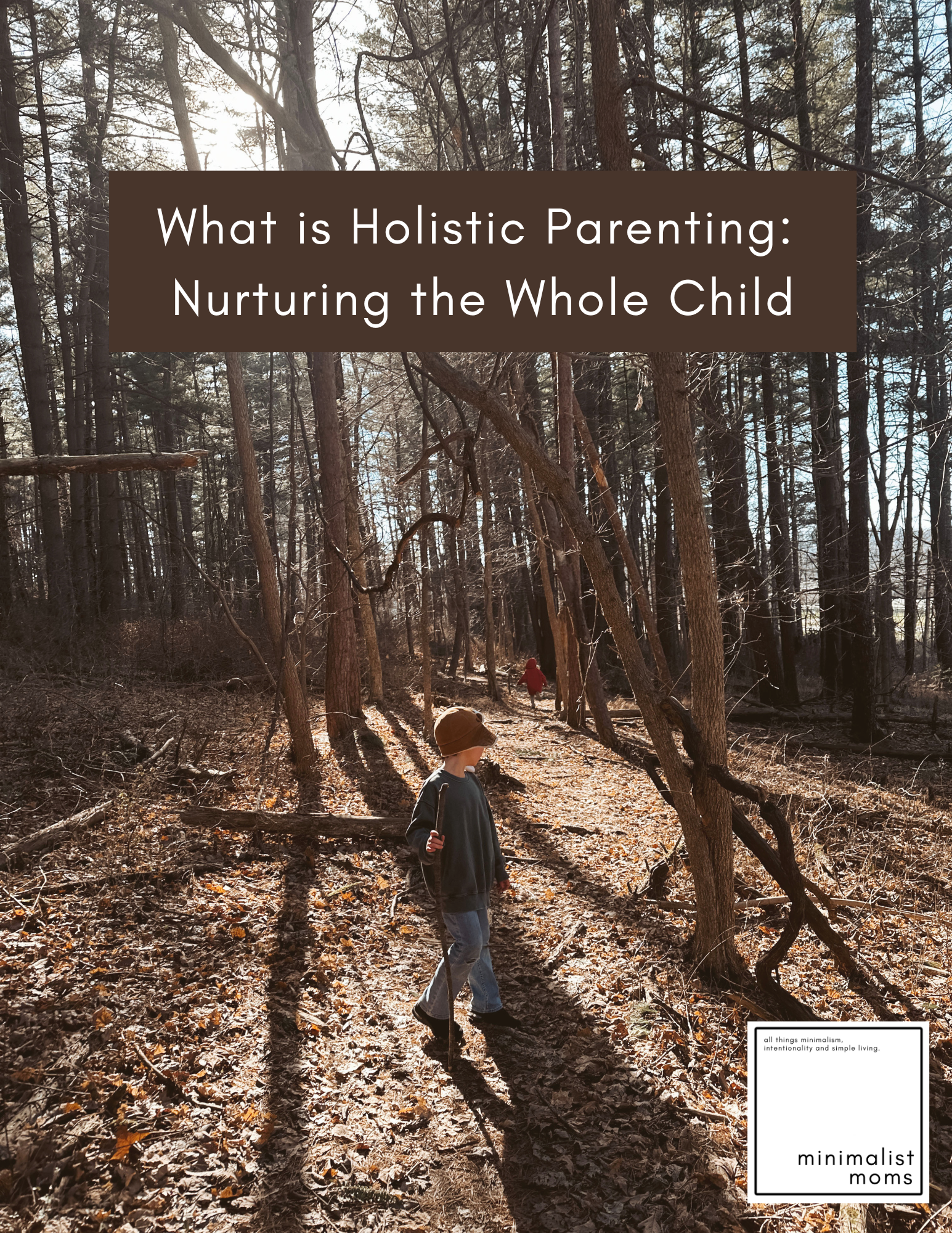 What is Holistic Parenting: Nurturing the Whole Child — Diane Boden