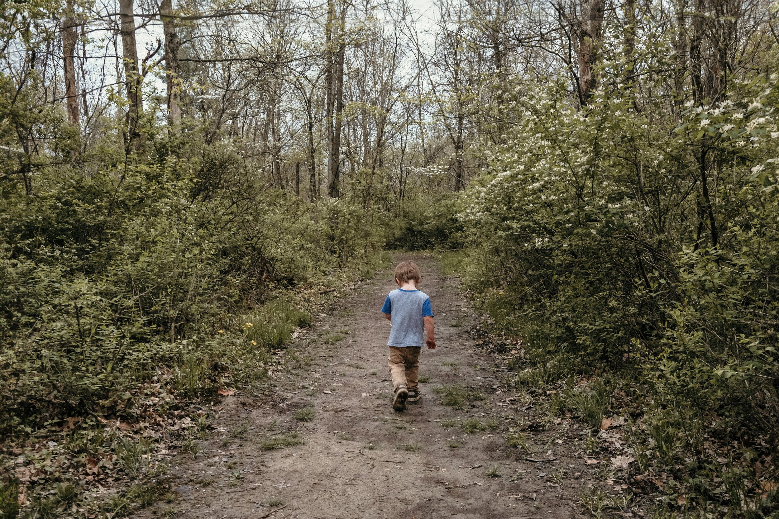 Slow Down: Sometimes It's Good to Go Slow — Diane Boden