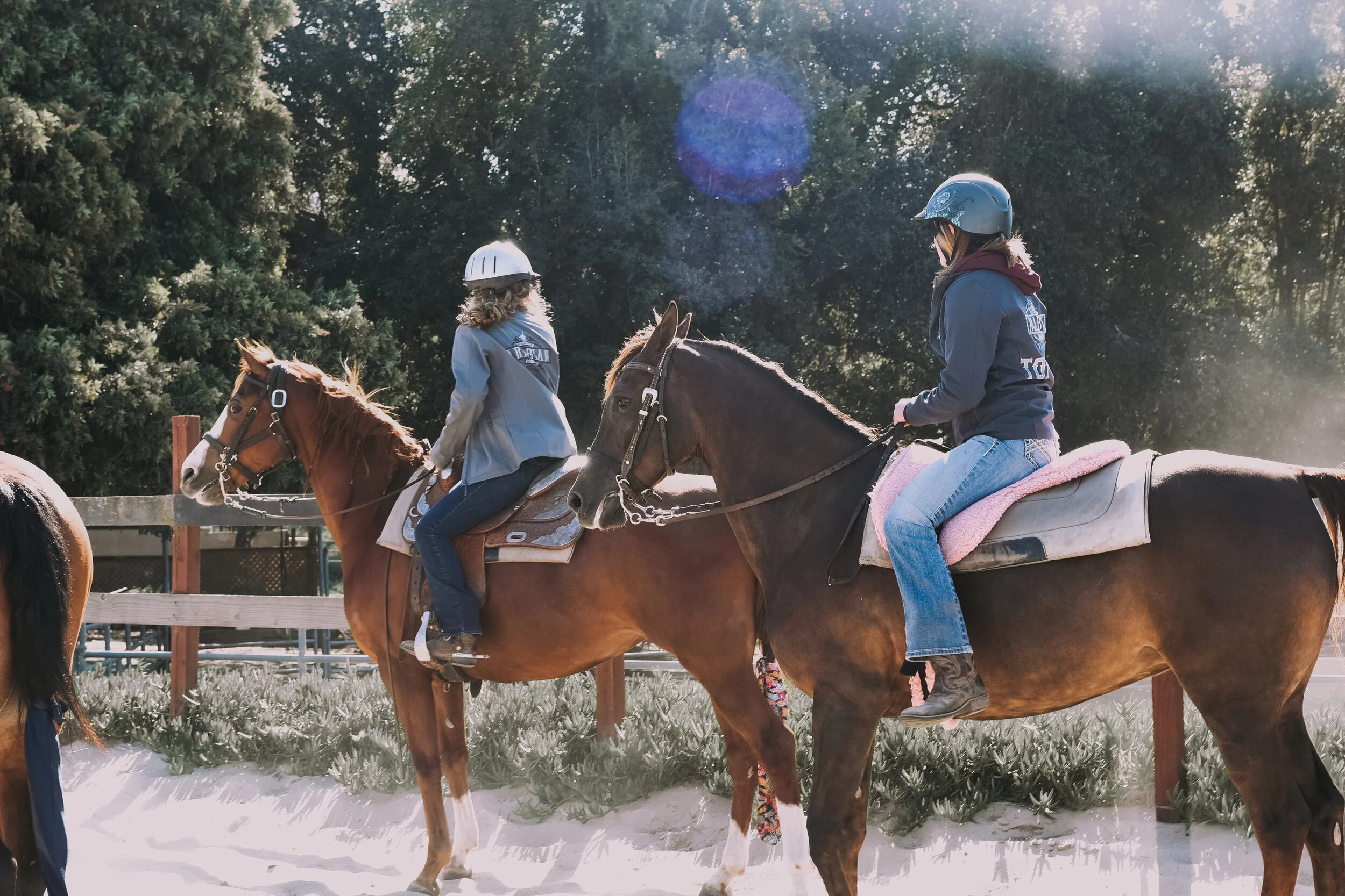 Services 4 — WAGNER RANCH