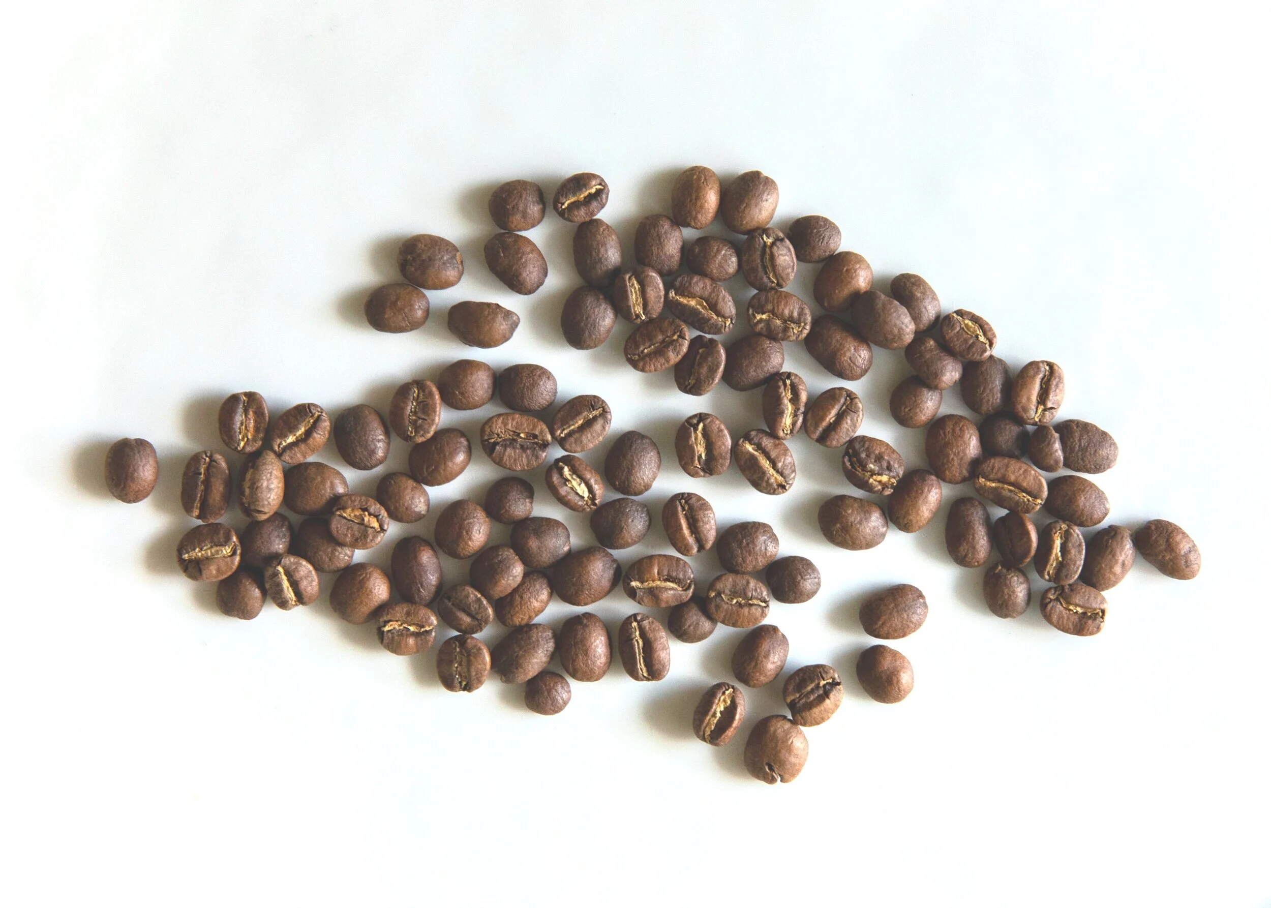 Honest Coffee Roasters