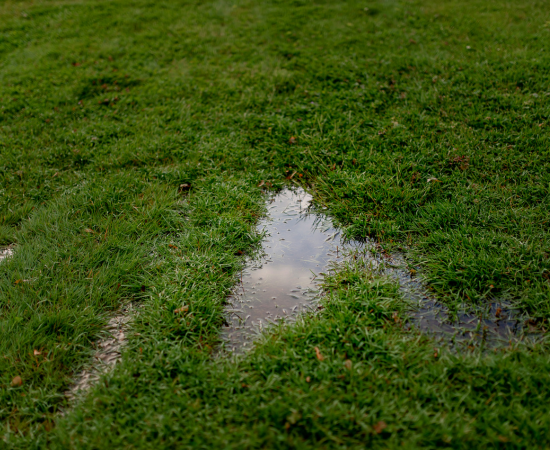 Frequent Rain
