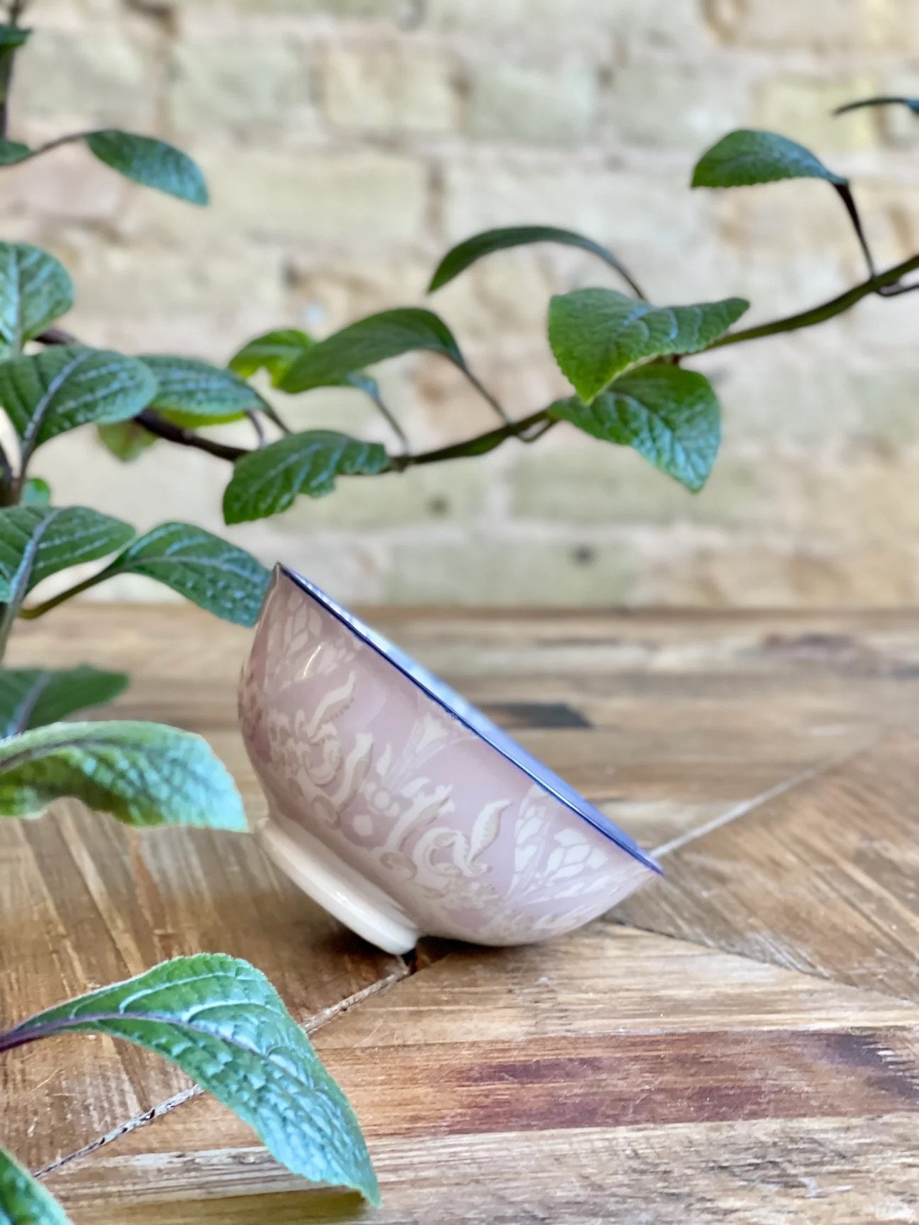 Elevate Your Culinary Style with Patina Vie Claudette Tidbit Bowls ...