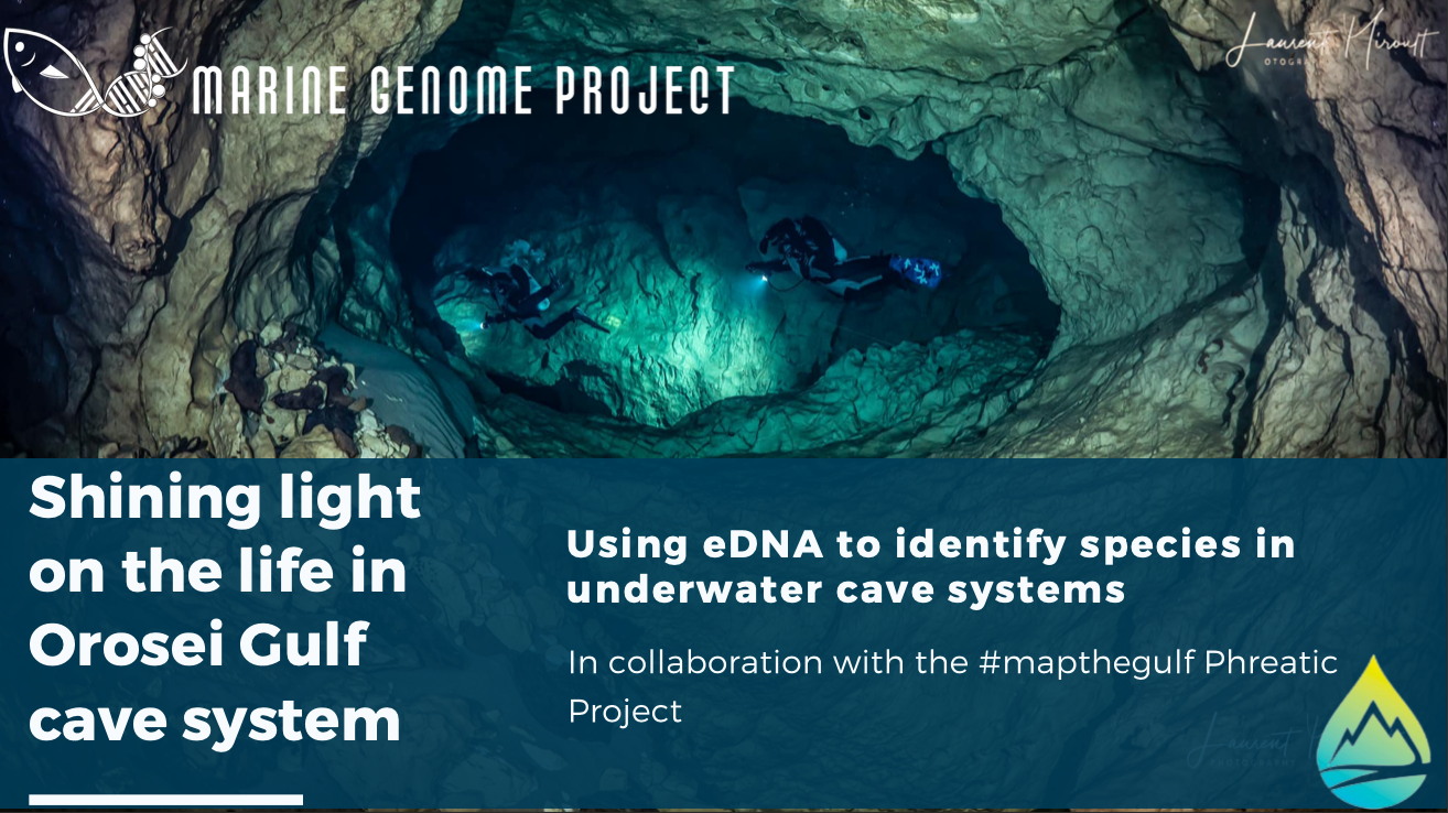 International Projects — Marine Genome Project Conservation