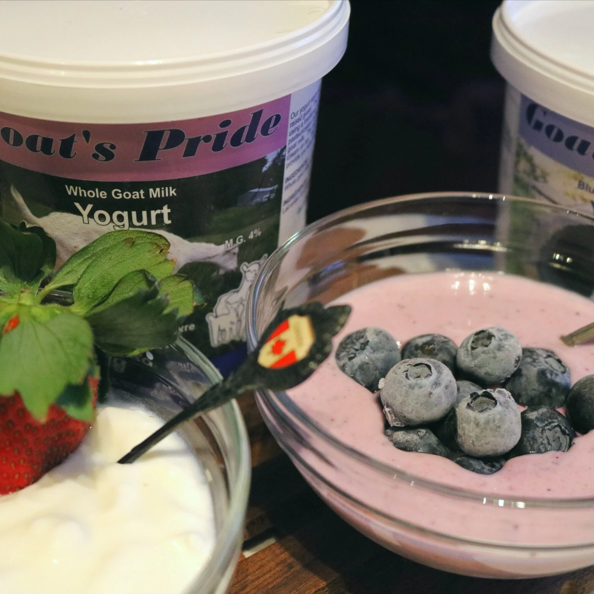 Shop Now — Goat's Pride Dairy