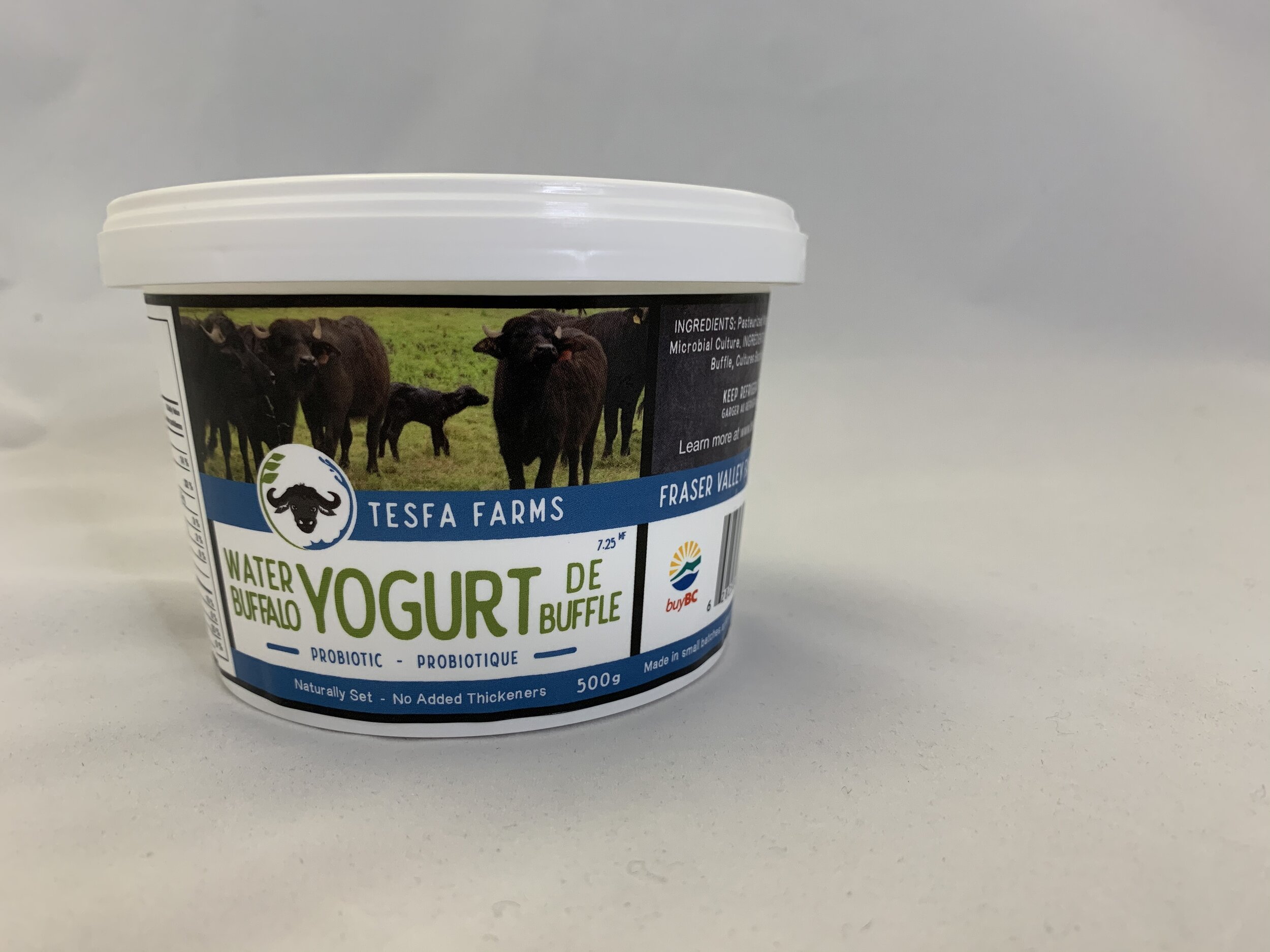 Water Buffalo Yogurt — Goat's Pride Dairy